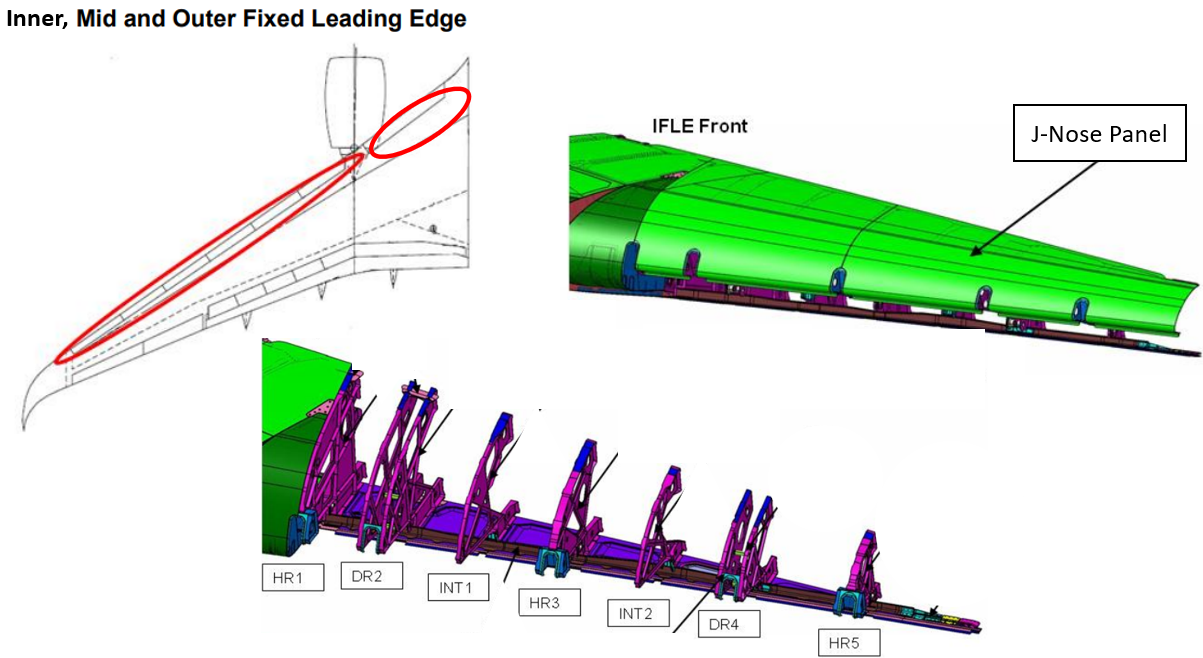 Isabella Helliwell | Portfolio